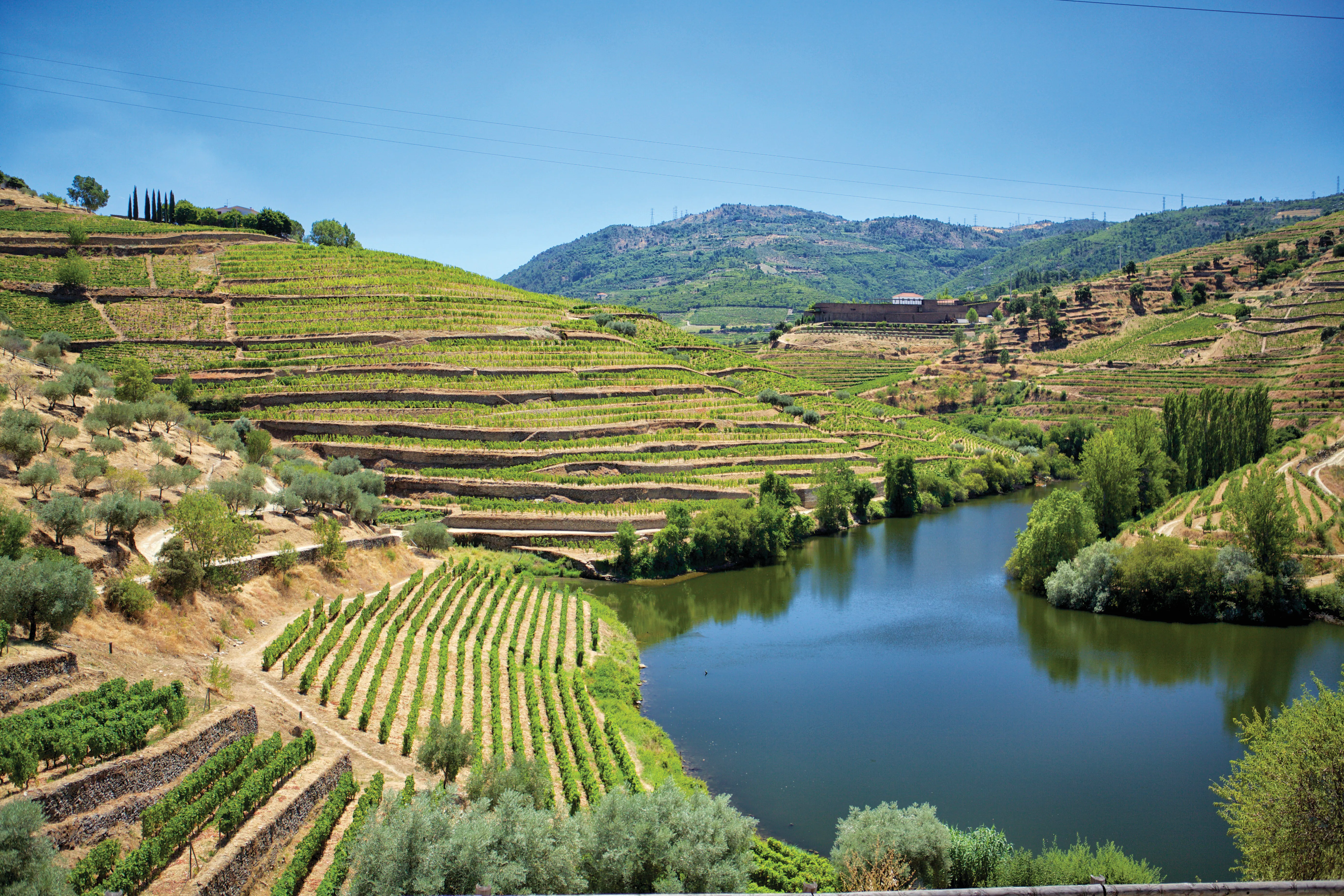 Tui River Cruises Unveils Debut Douro Programme with New-Build Ship Tui ...