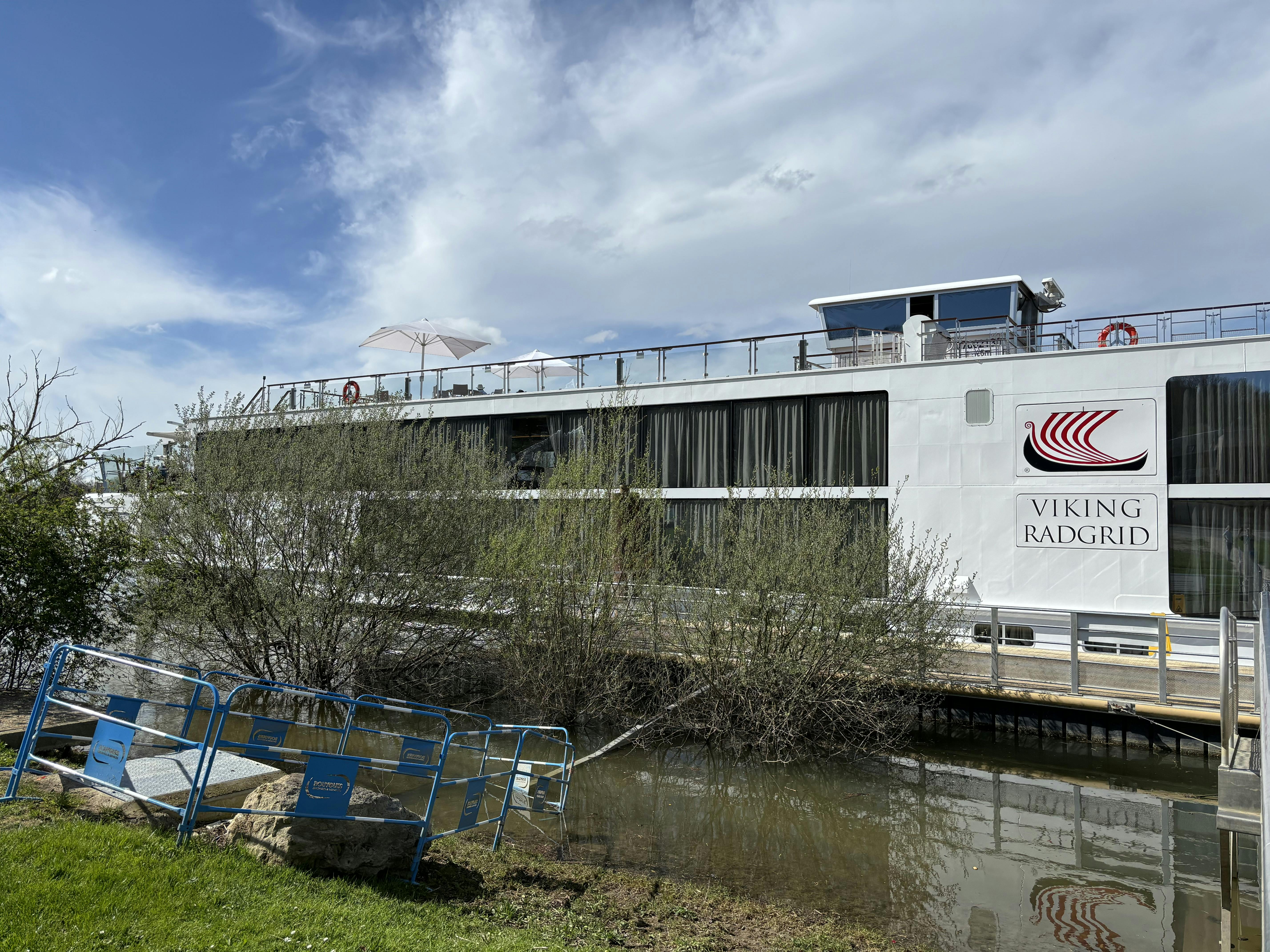 Expert View of Viking Radgrid