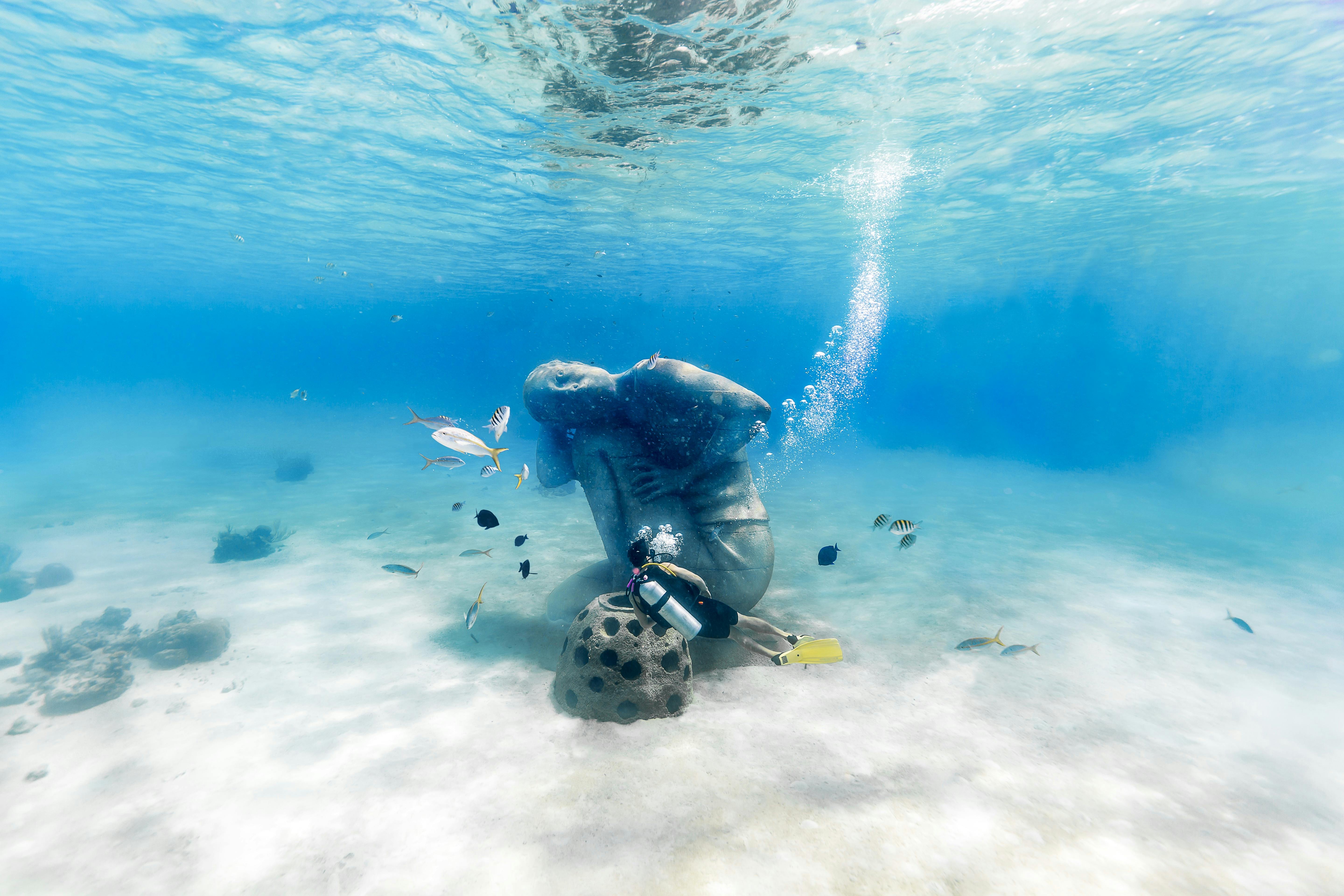 The 12 Best Bahamas Shore Excursions for Cruisers