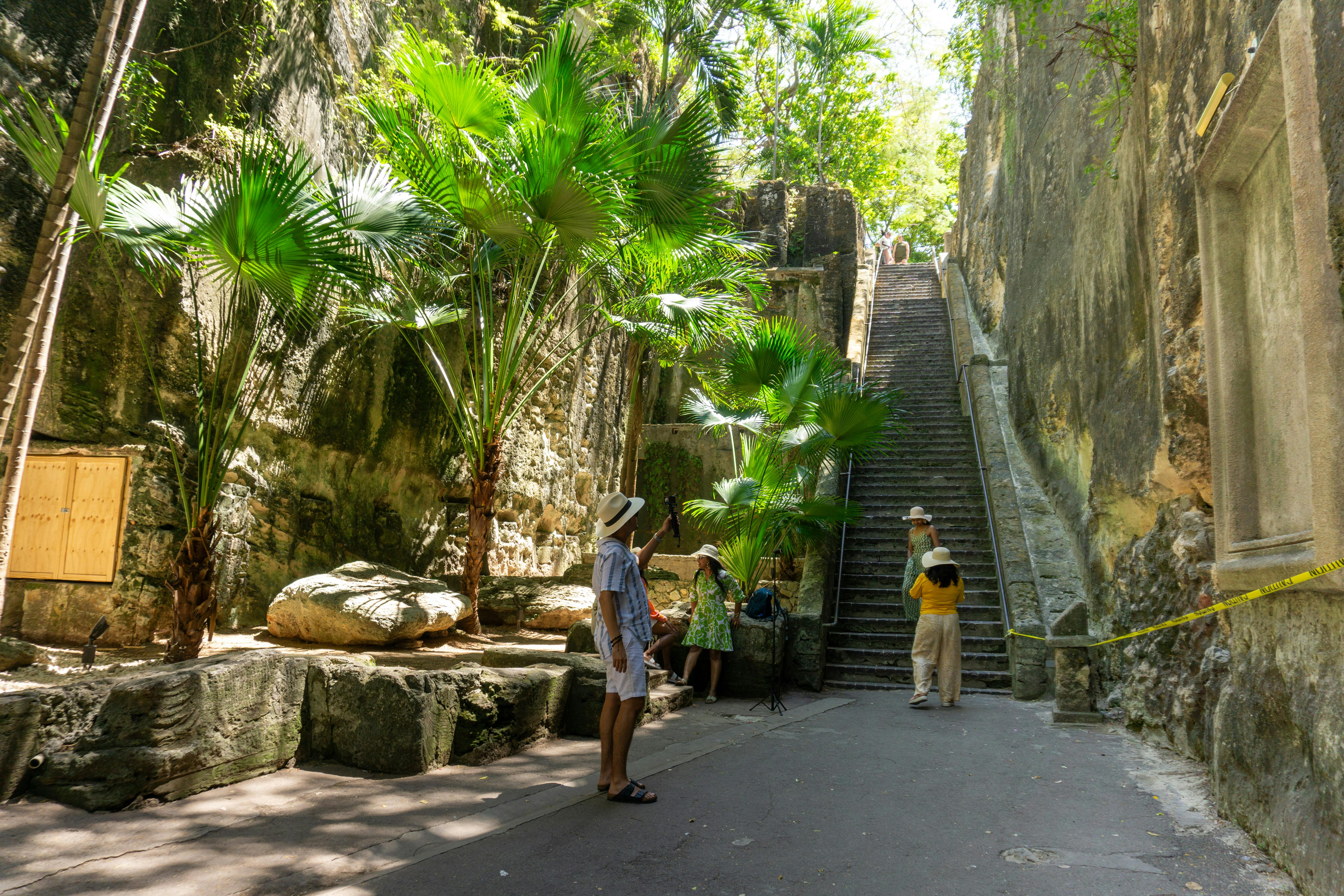 I Booked an Independent Shore Excursion in Nassau. Here’s What I Learned.