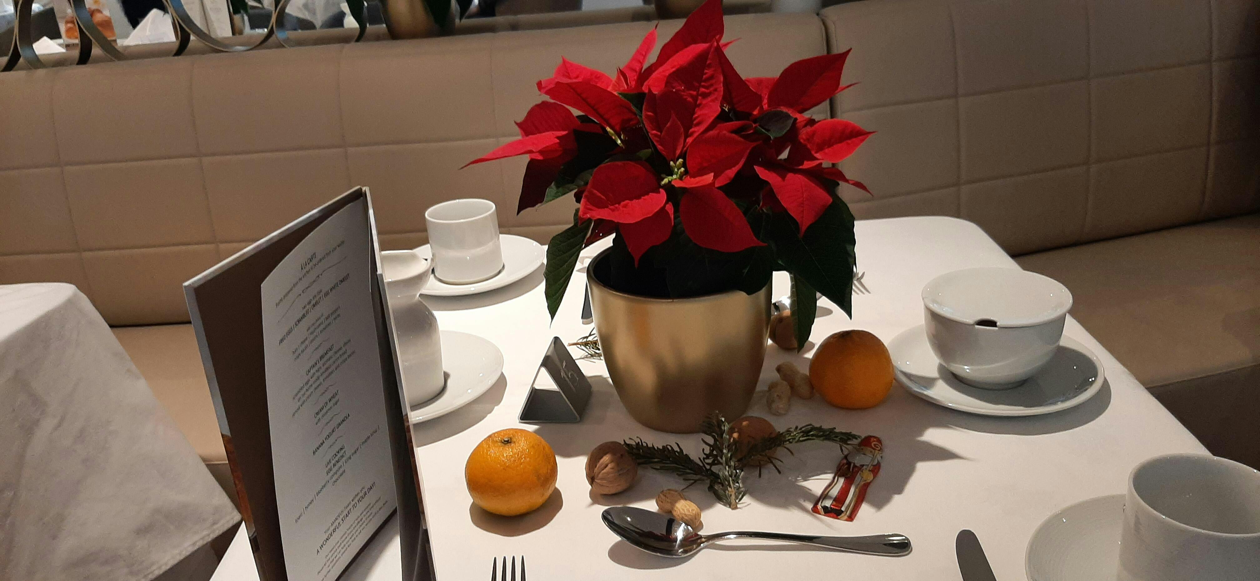 Expert Review of Amadeus Cara River Cruise Ship