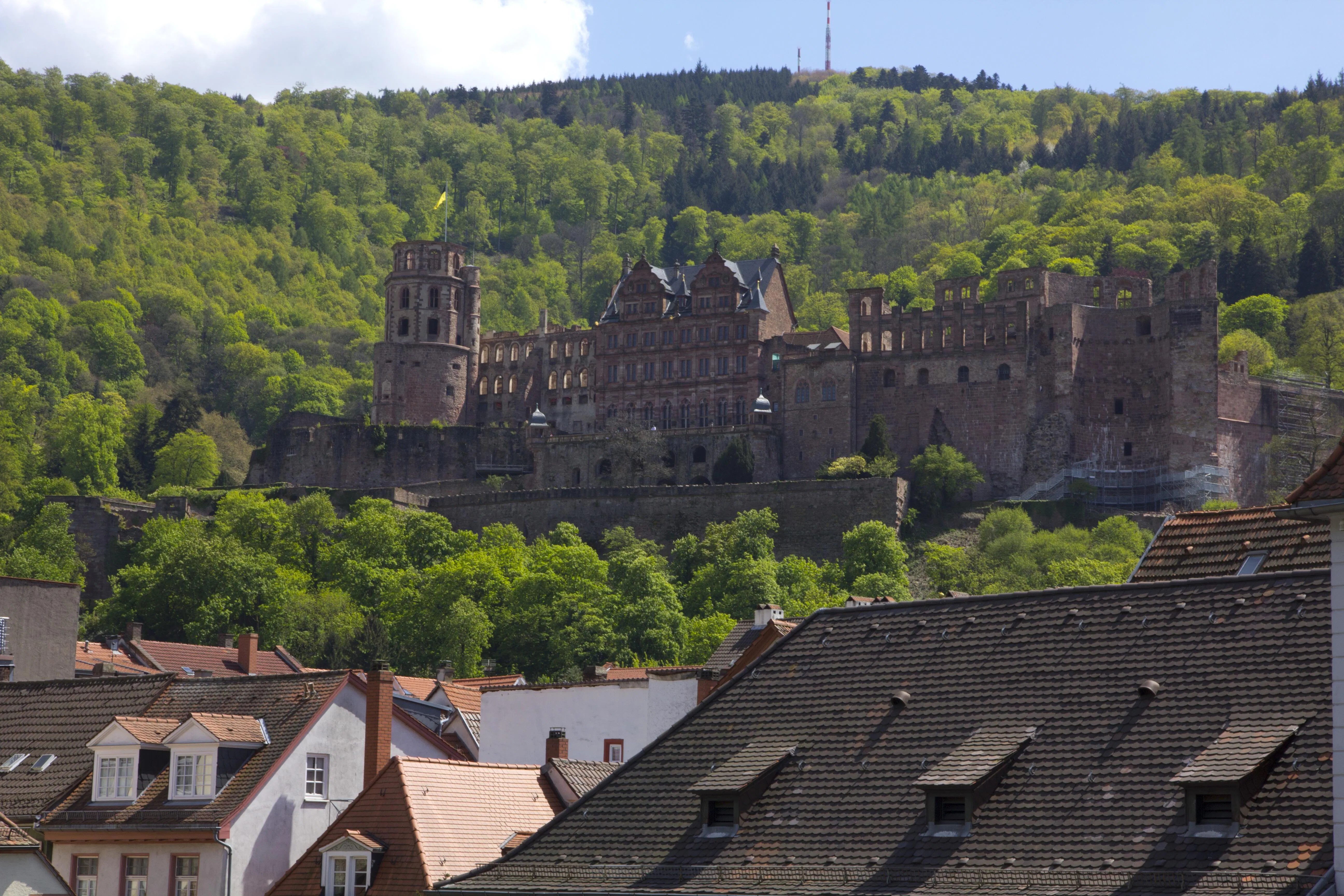 Ultimate Rhine River Guide - Cruise Critic