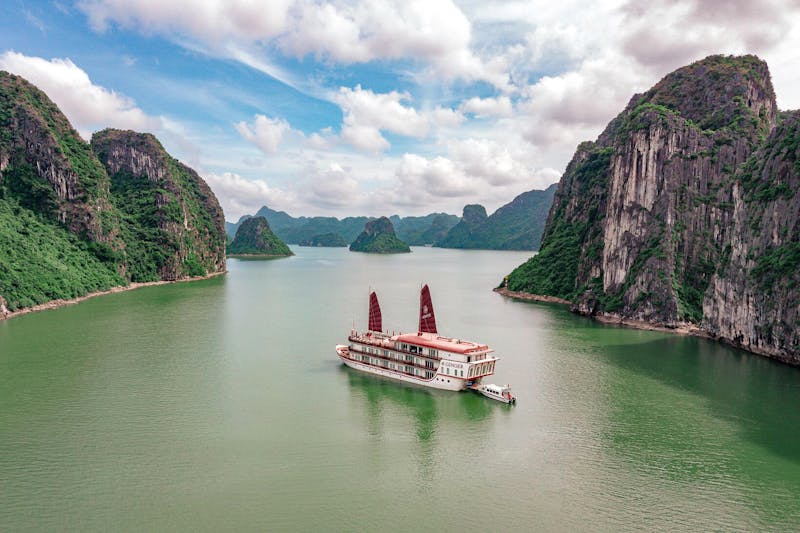 Ginger Cruise: Expert Review (2023)