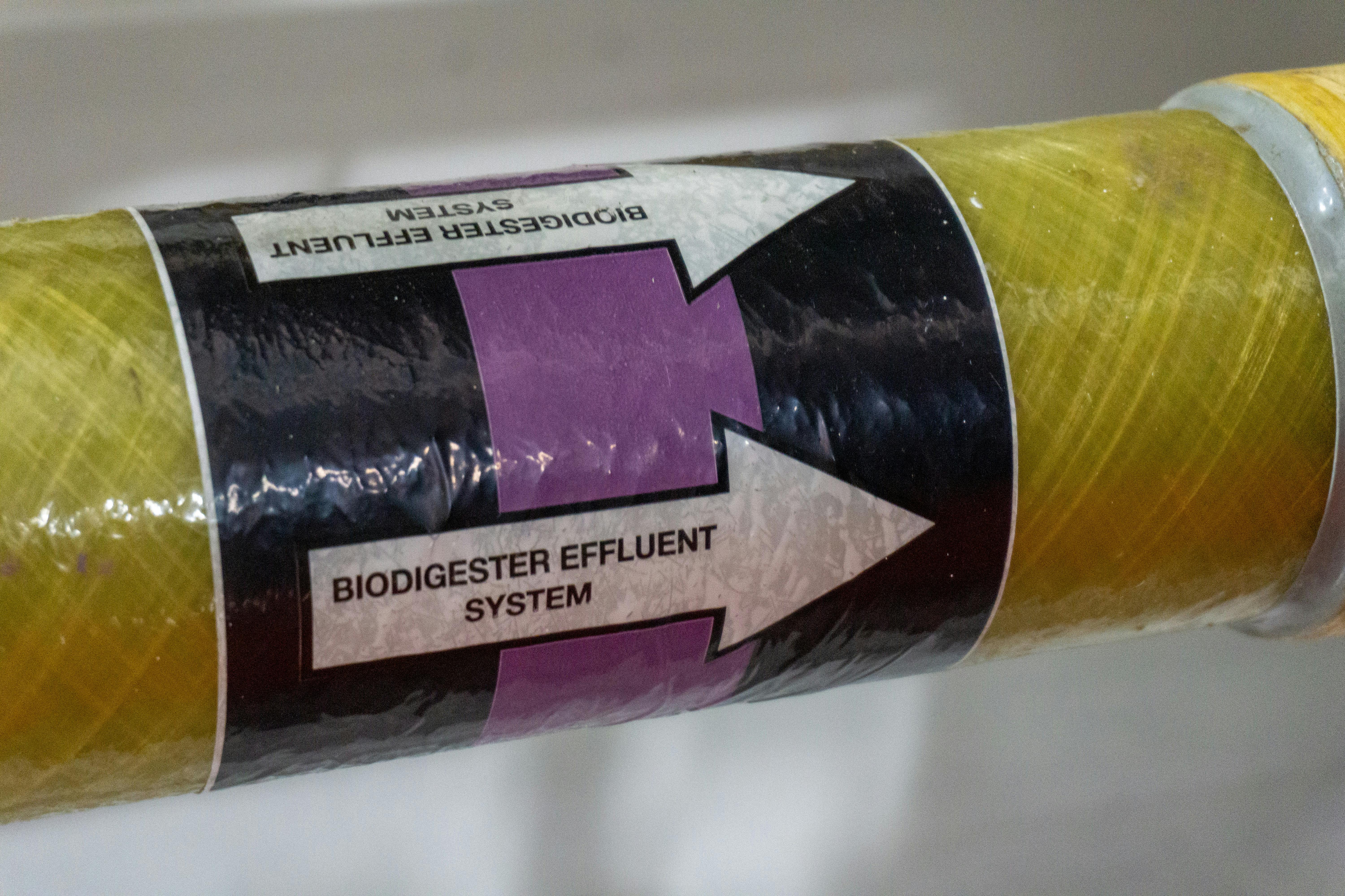 What Happens to Food Waste on a Cruise Ship?