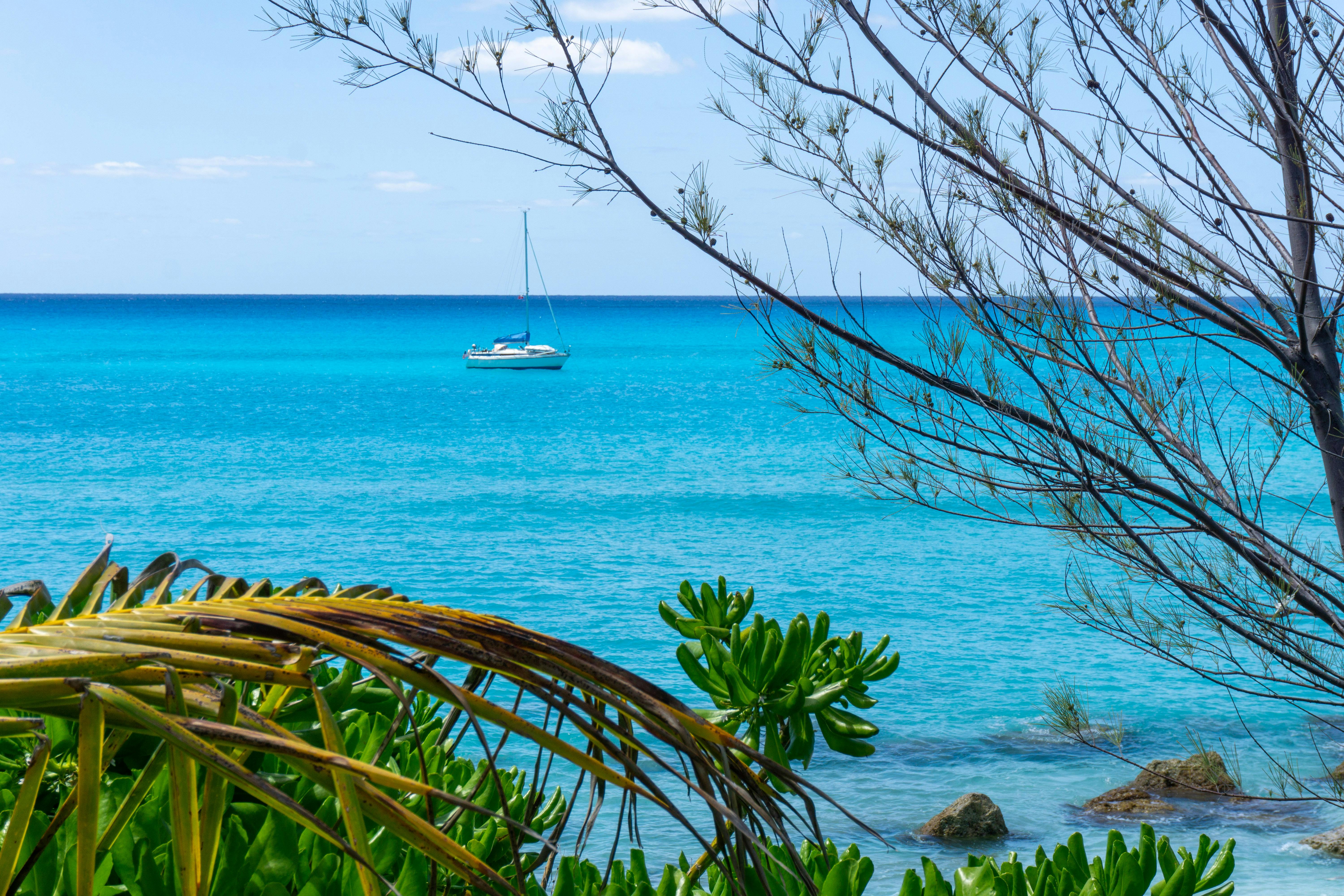 5 Reasons to Go Ashore in Bimini, Bahamas