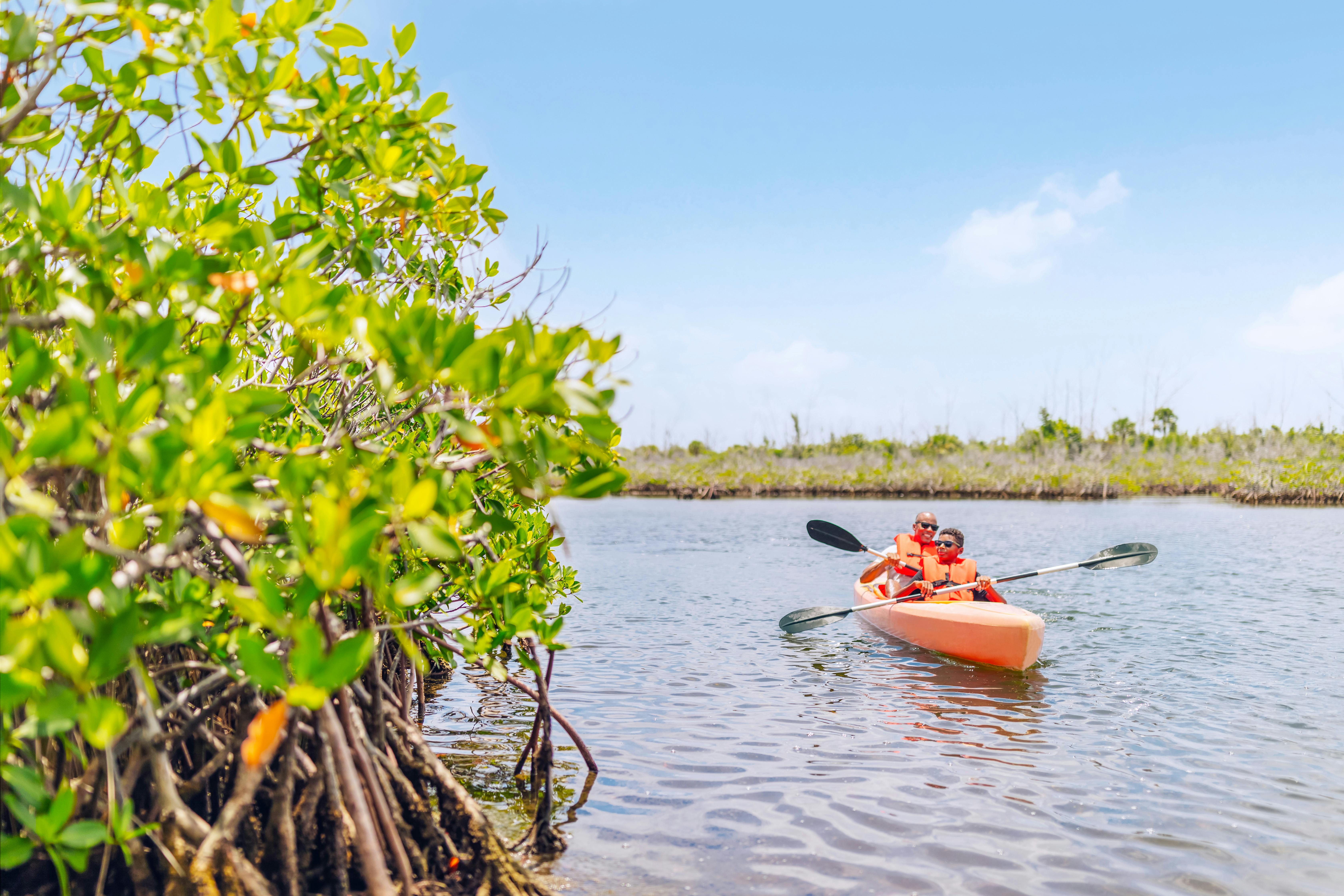 Best Time to Cruise to the Bahamas: A Month-by-Month Guide