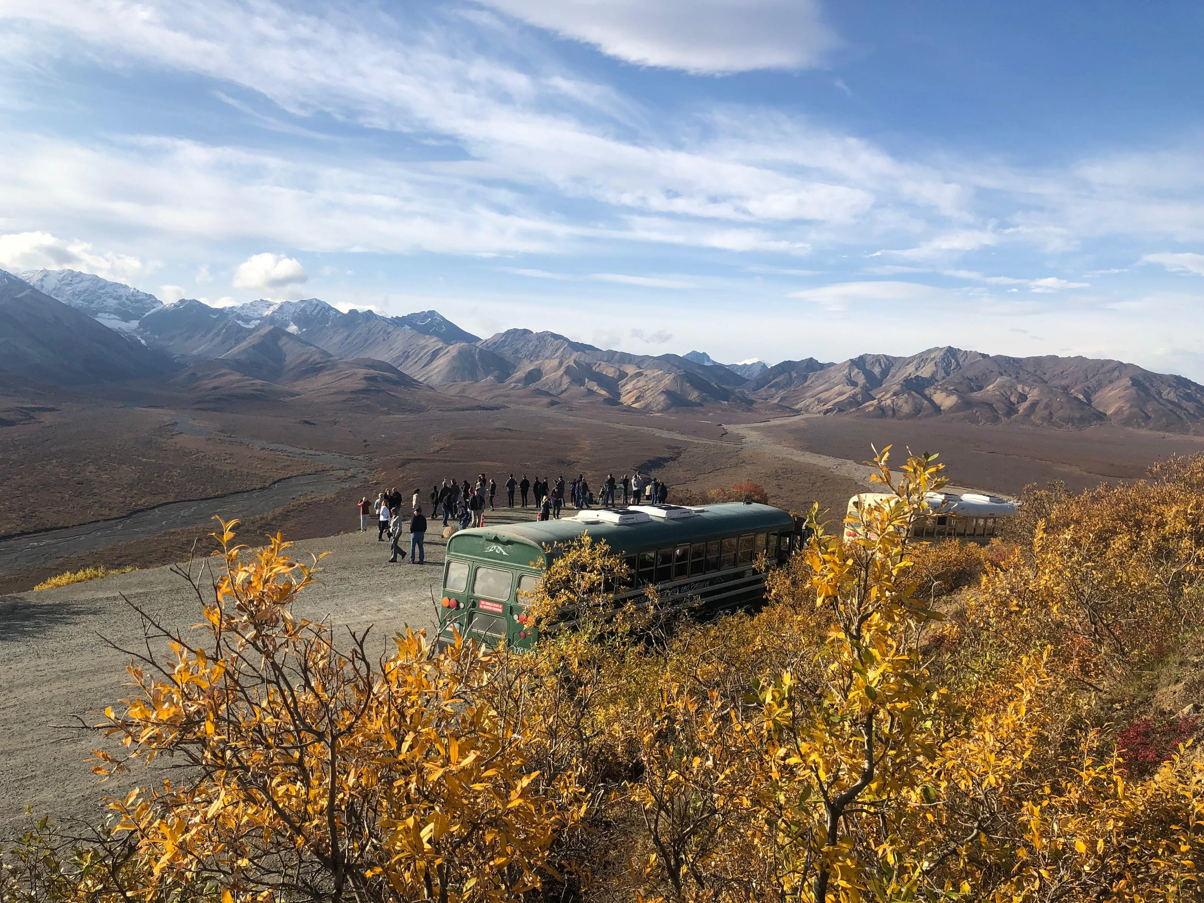 Denali Tundra Wilderness Bus Tour Excursion Review