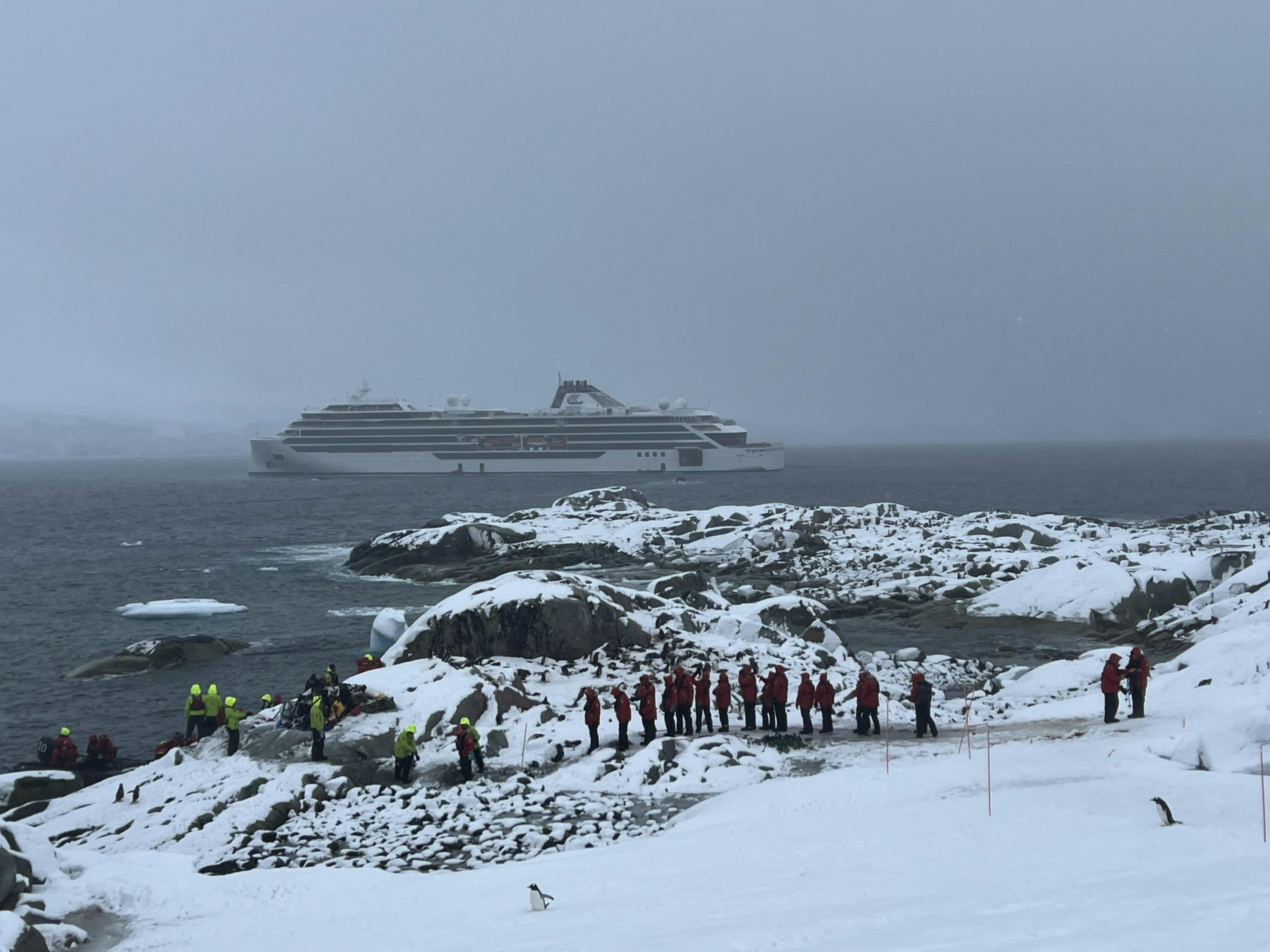 Viking Cruise Antarctica