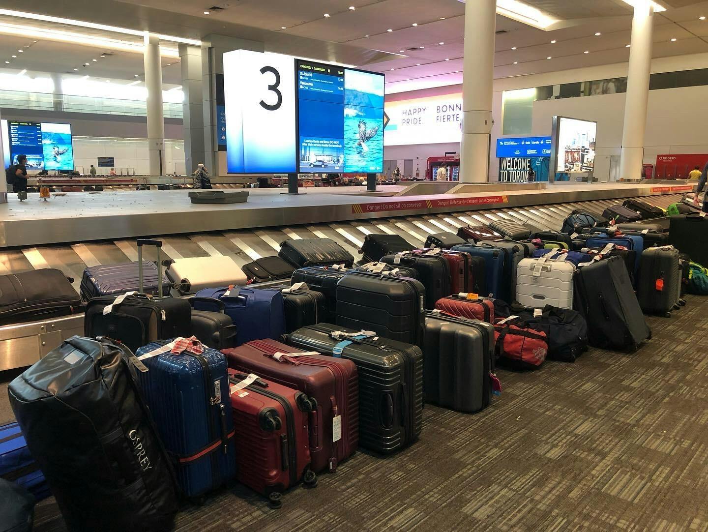 Help! My Luggage Is Lost. What Should I Do?