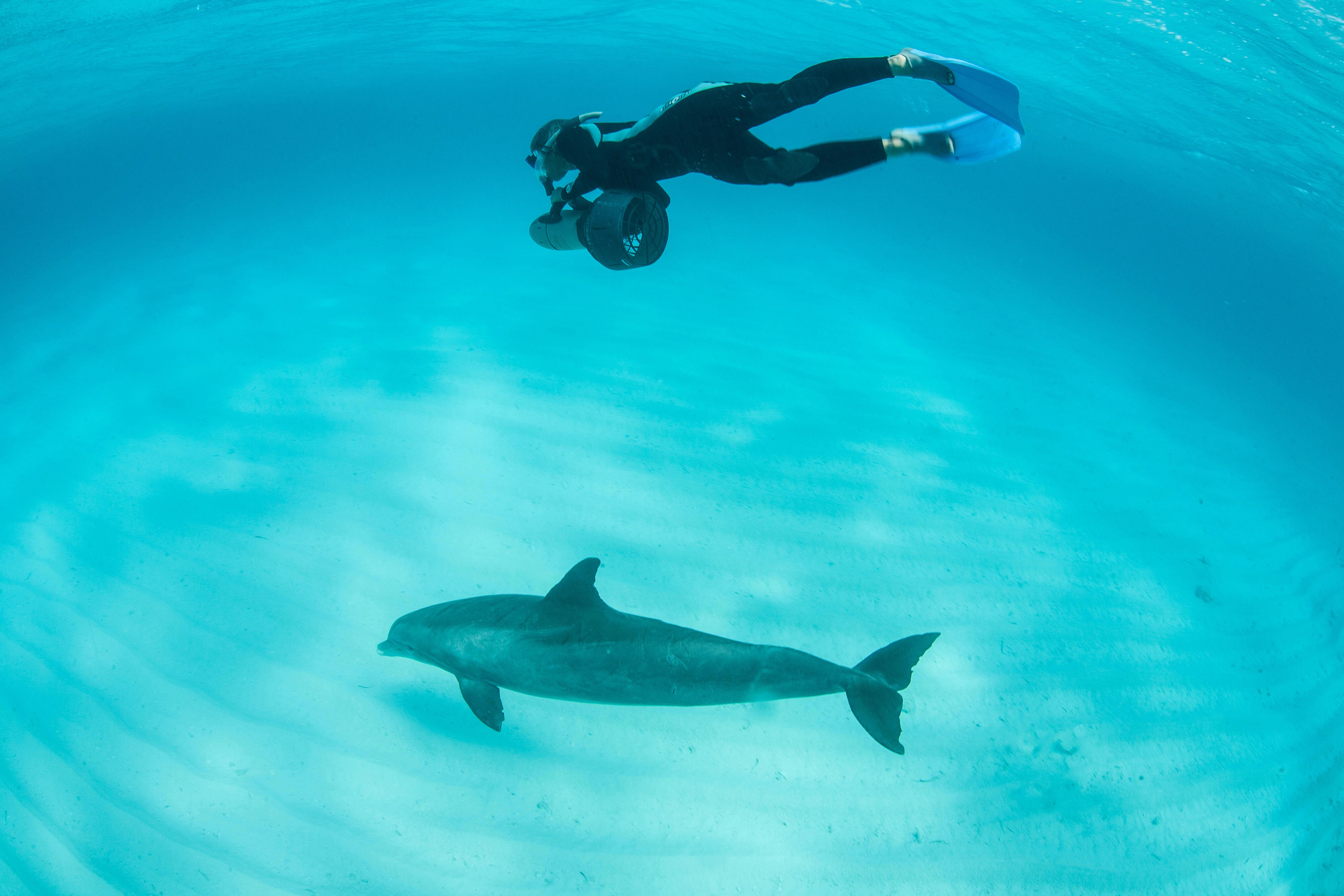 30 Caribbean Cruise Ports and Their Best Shore Excursions