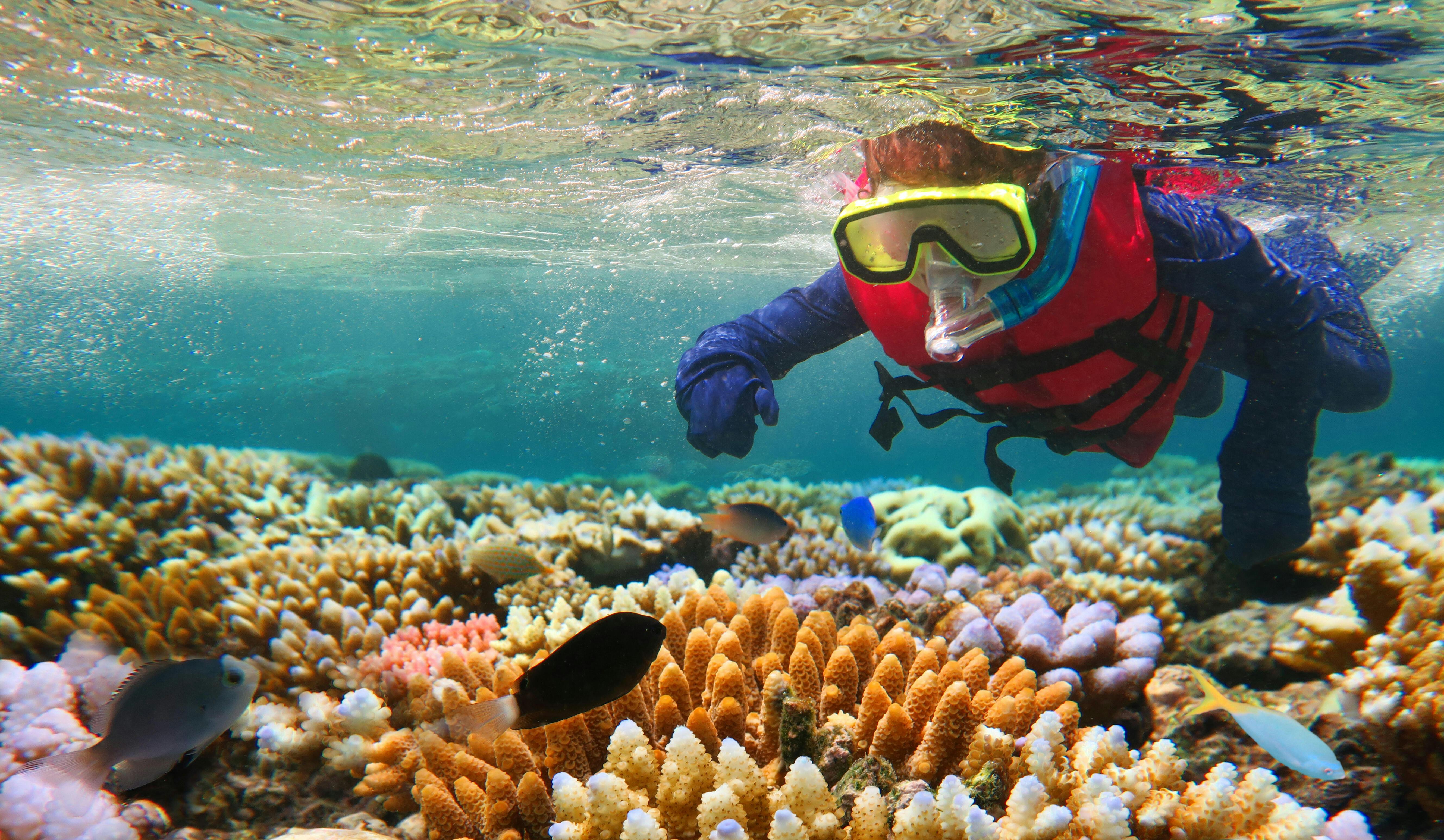 Tips for Cruising the Great Barrier Reef in Australia