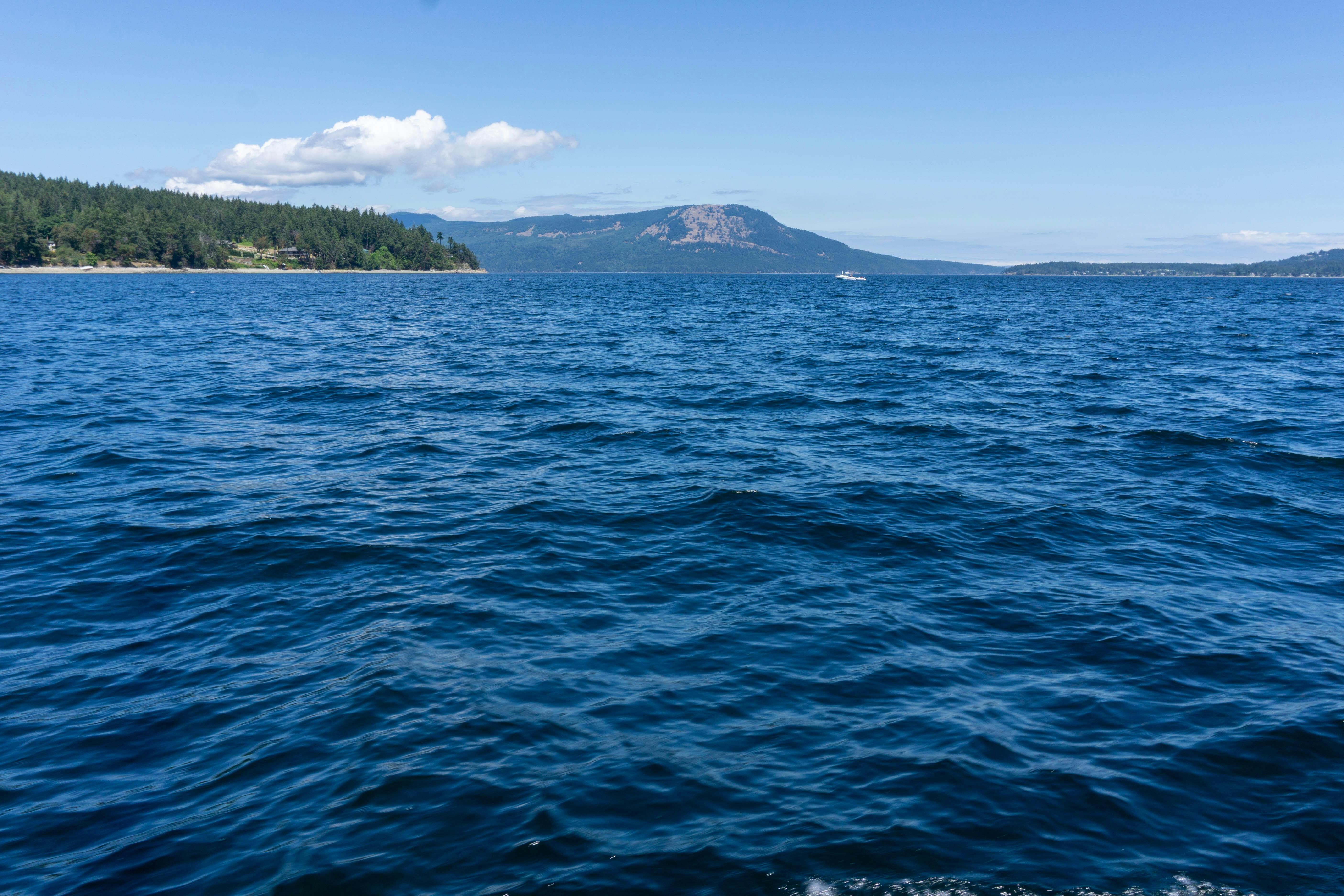 Pacific Coastal Cruises Explained