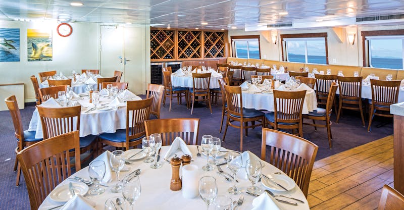 Lindblad Expeditions National Geographic Sea Bird Cruise: Expert Review ...