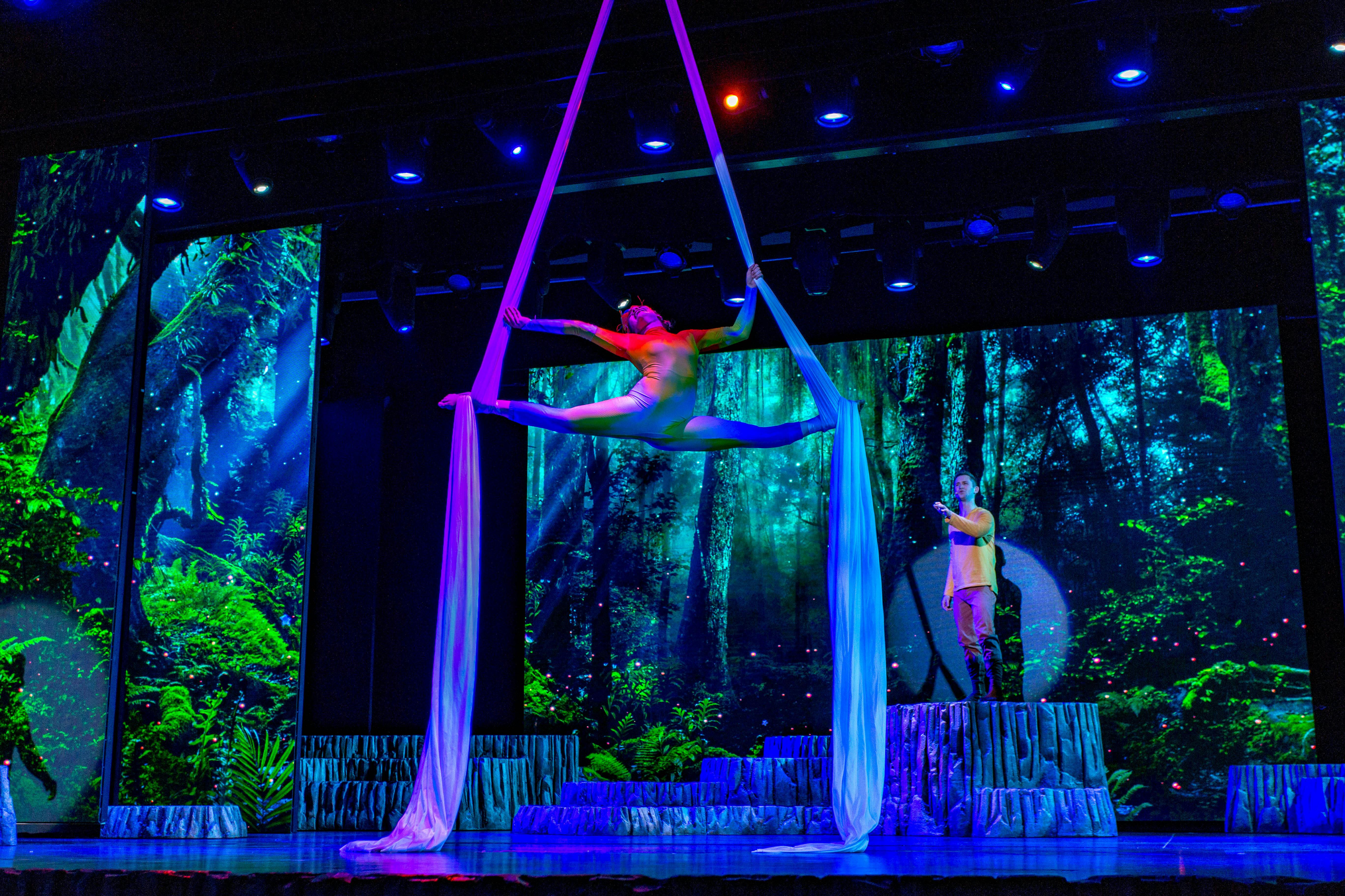 Looking for things to do on Holland America Eurodam? See what cruise ...