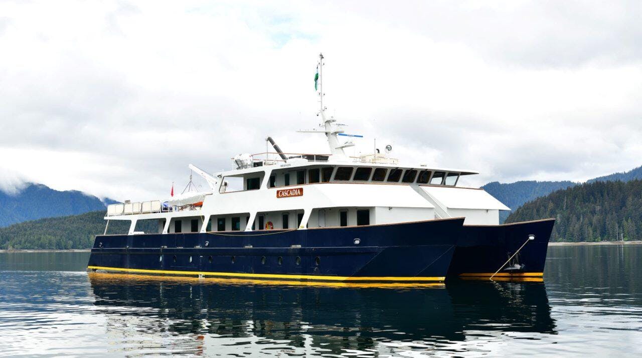 A Guide to Expedition Cruises: Regions, Cruise Lines & More