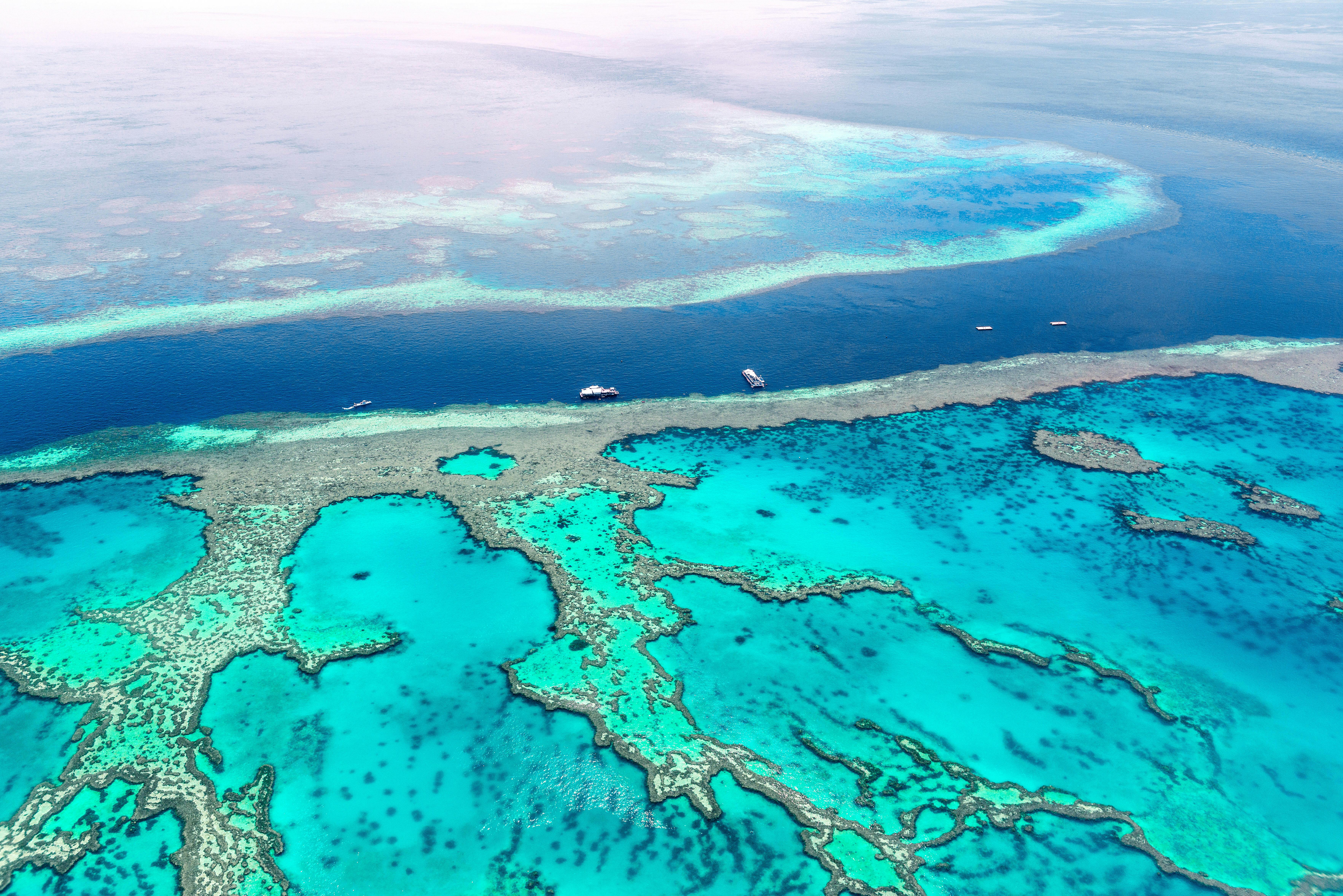 Tips for Cruising the Great Barrier Reef in Australia