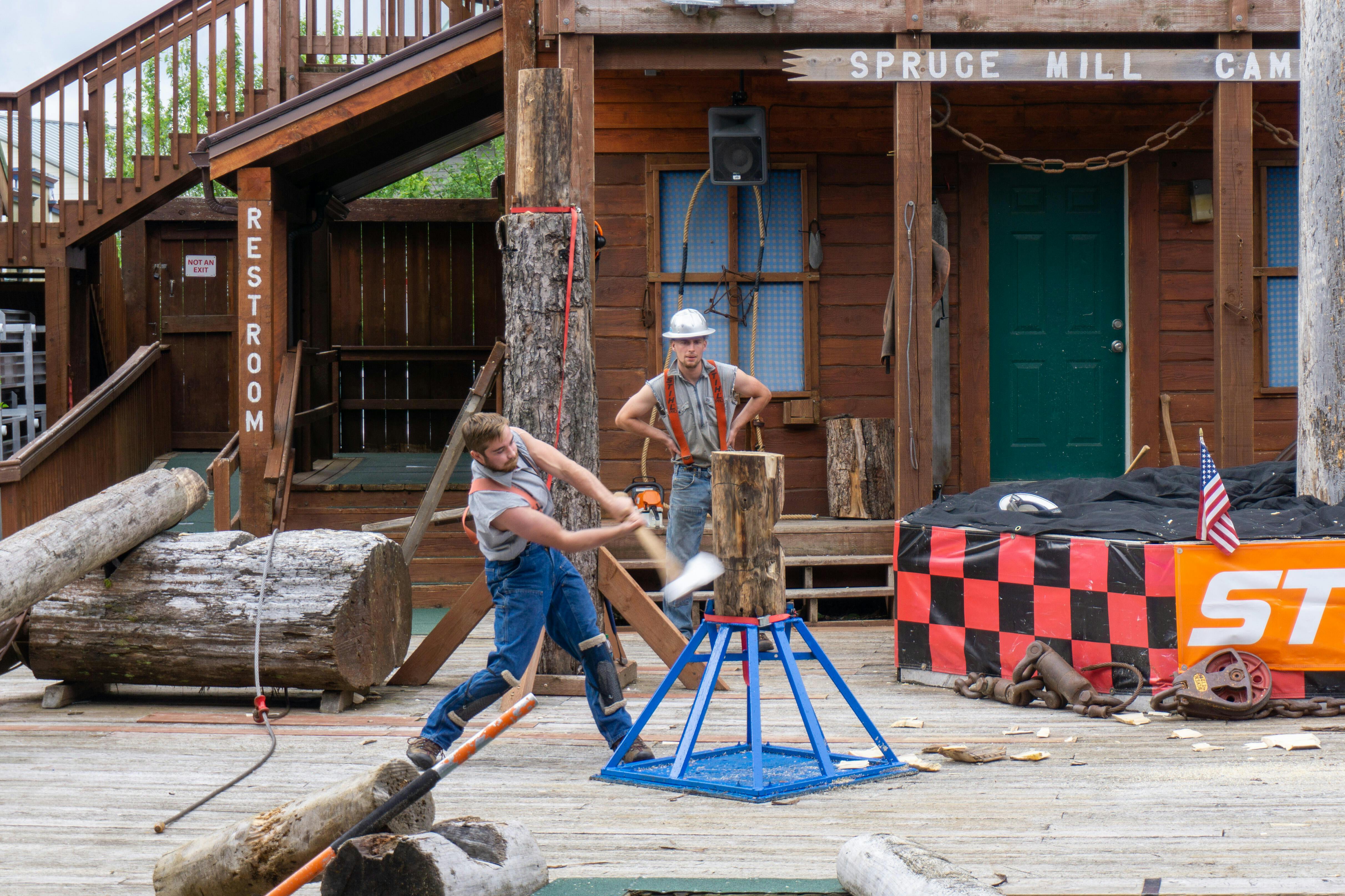 Why a South Central Alaska Cruise is Perfect for You