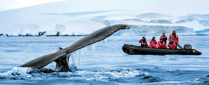 10 Exotic Destinations You Should Visit on an Expedition Cruise