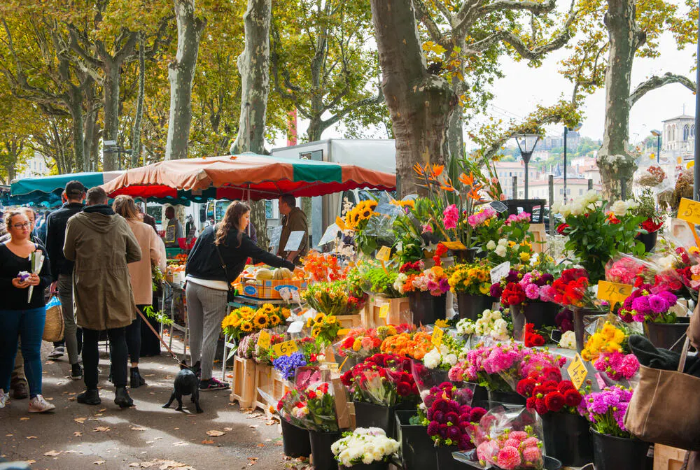 A Culinary Journey Along the Rhone