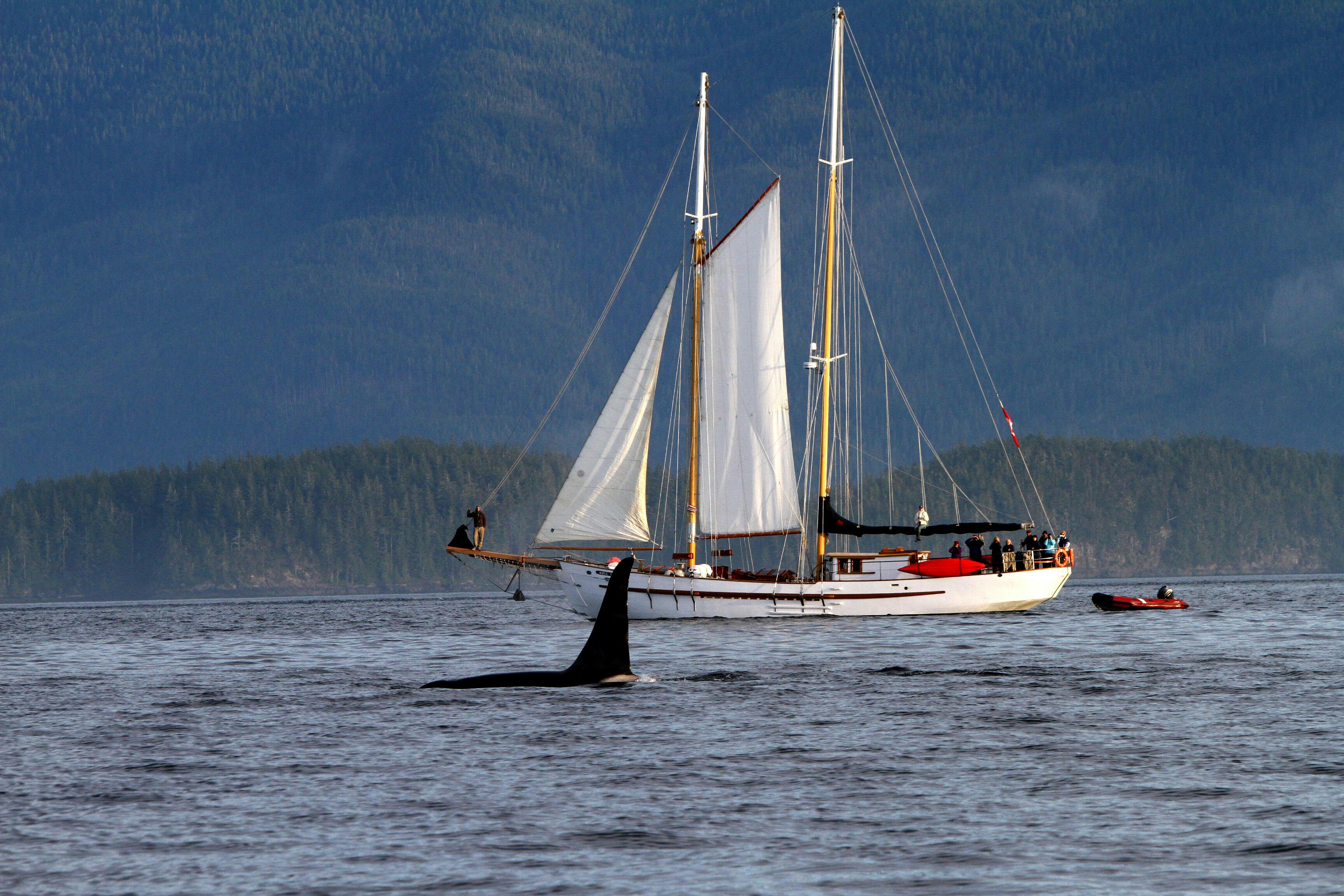 The Ultimate Small Ship Alaska Cruise Guide