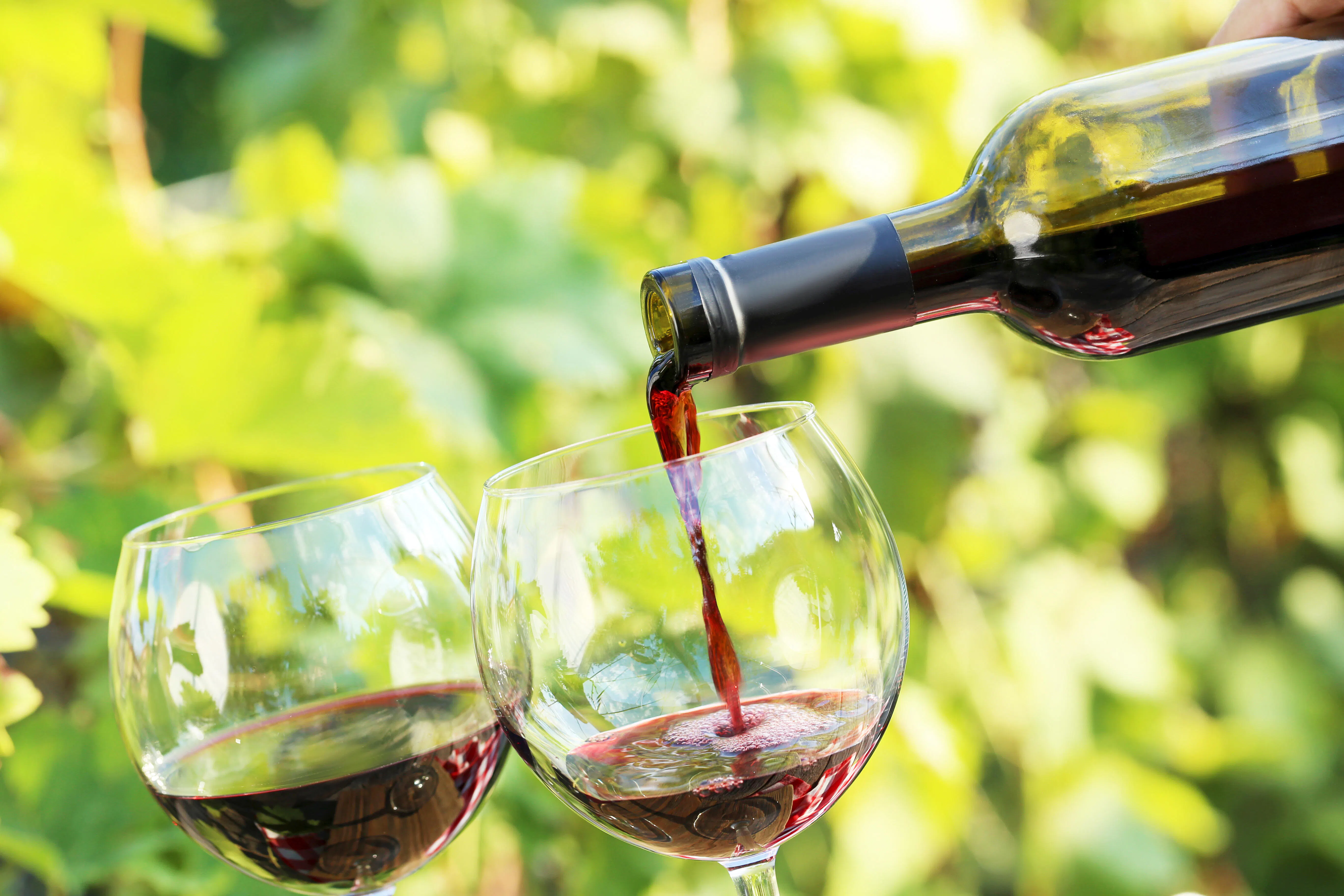Cruise Critic's Ultimate Rhone River Cruise Guide