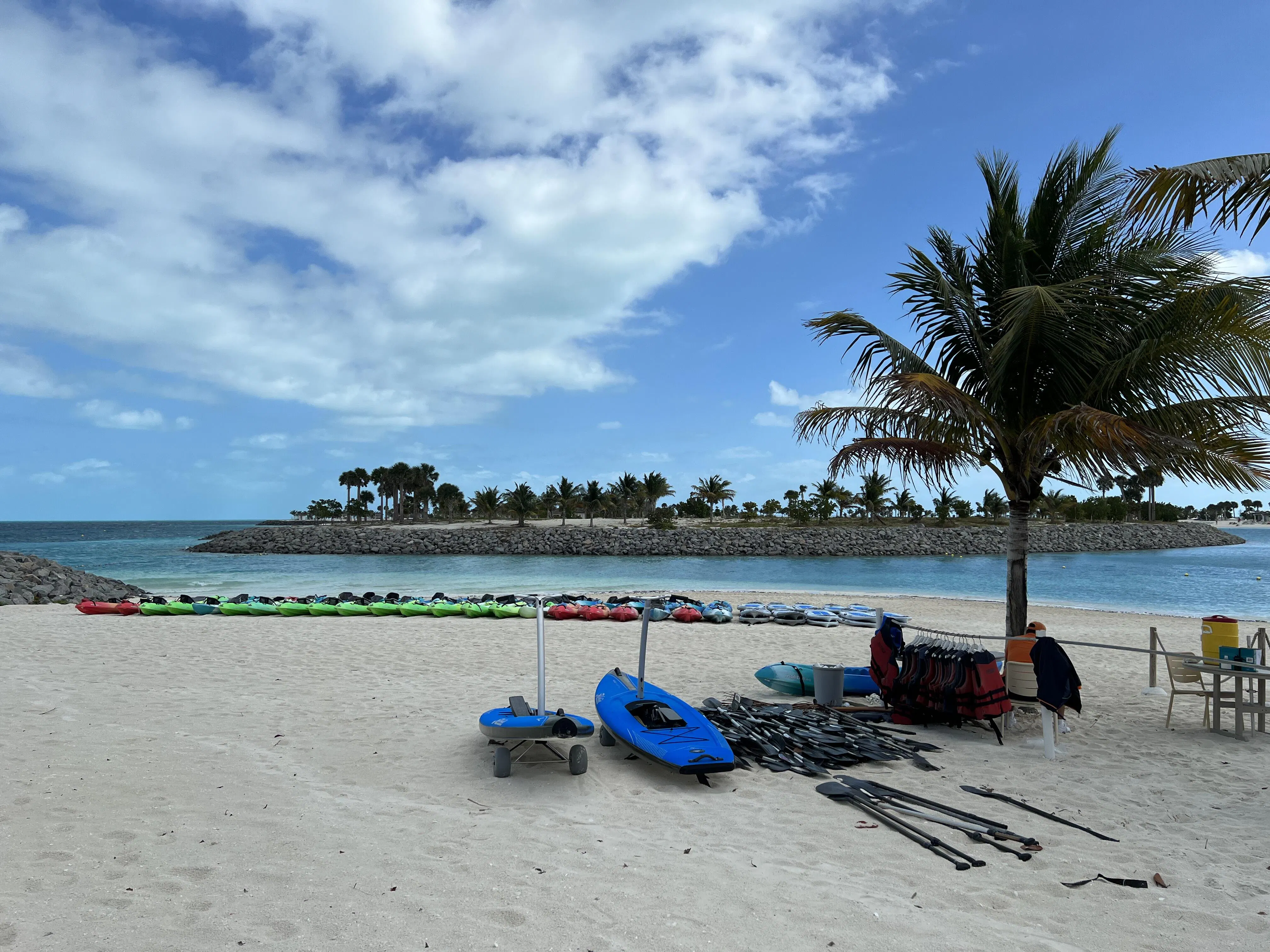 Ocean Cay MSC Marine Reserve: Everything You Need to Know