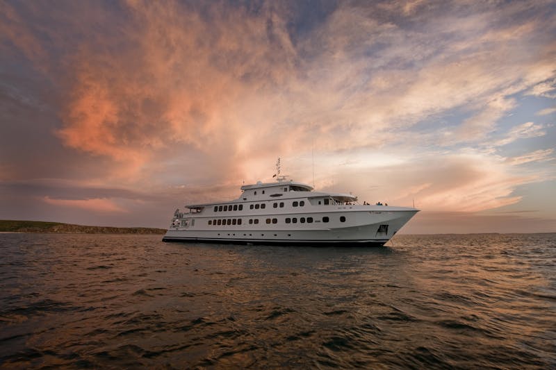 True North Cruise: Expert Review (2023)