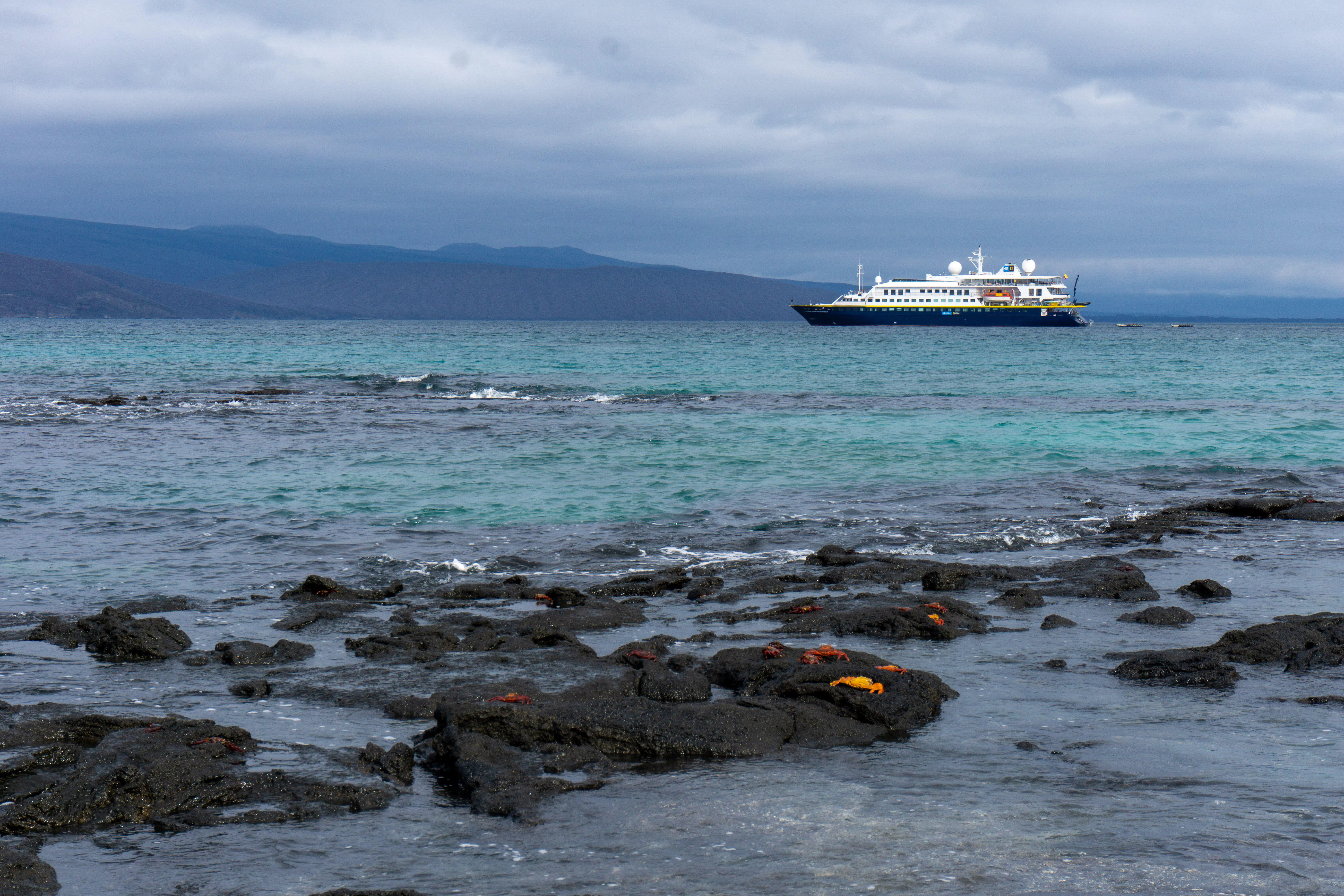 A Guide to Expedition Cruises: Regions, Cruise Lines & More - Cruise Critic