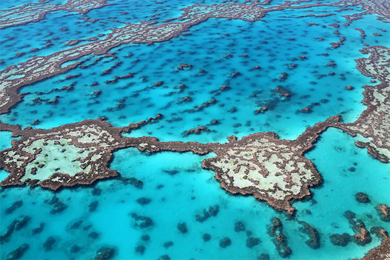 Tips for Cruising the Great Barrier Reef in Australia - Cruise Critic