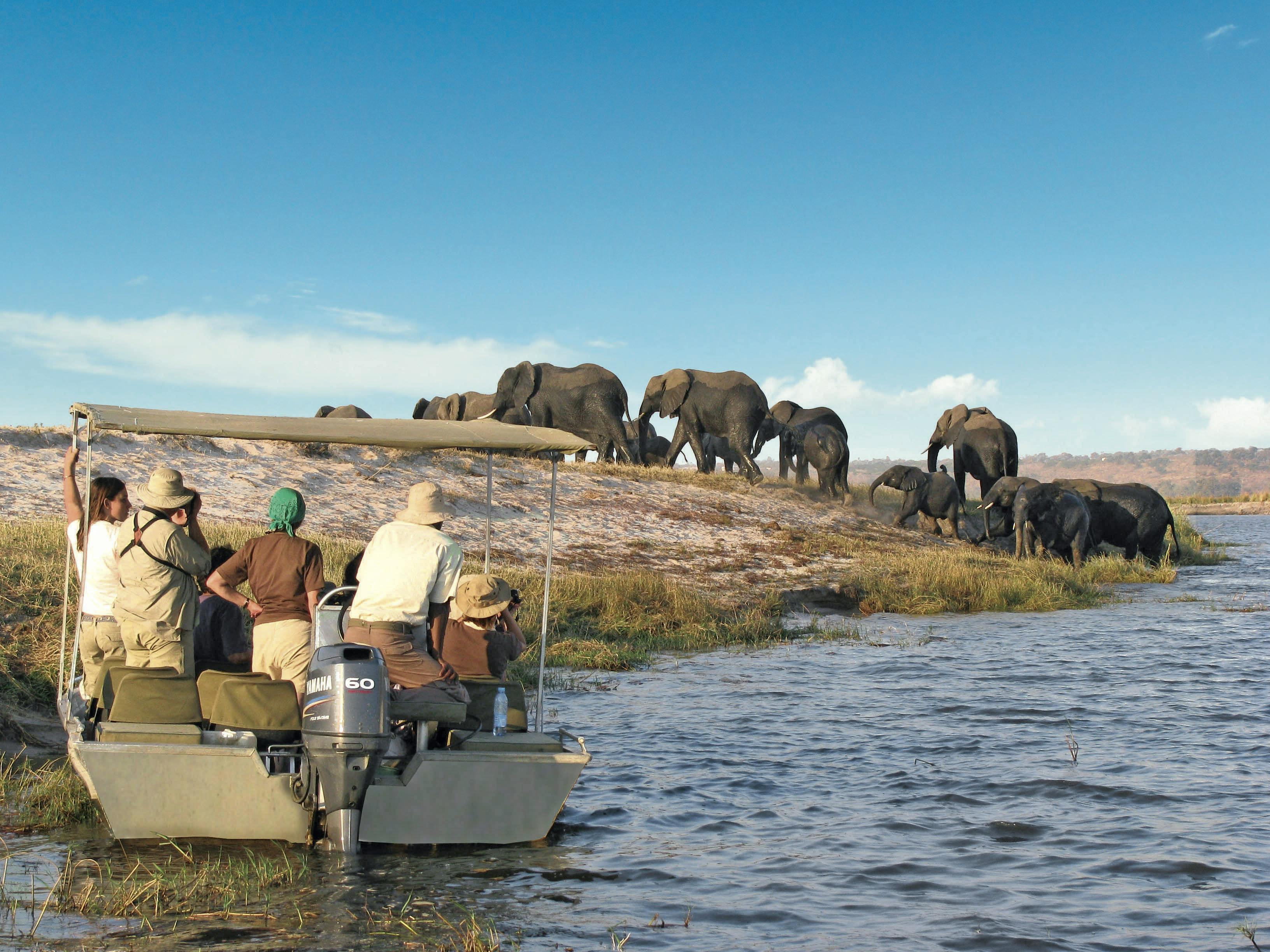 African Safari Cruise Guide: Everything You Need to Know