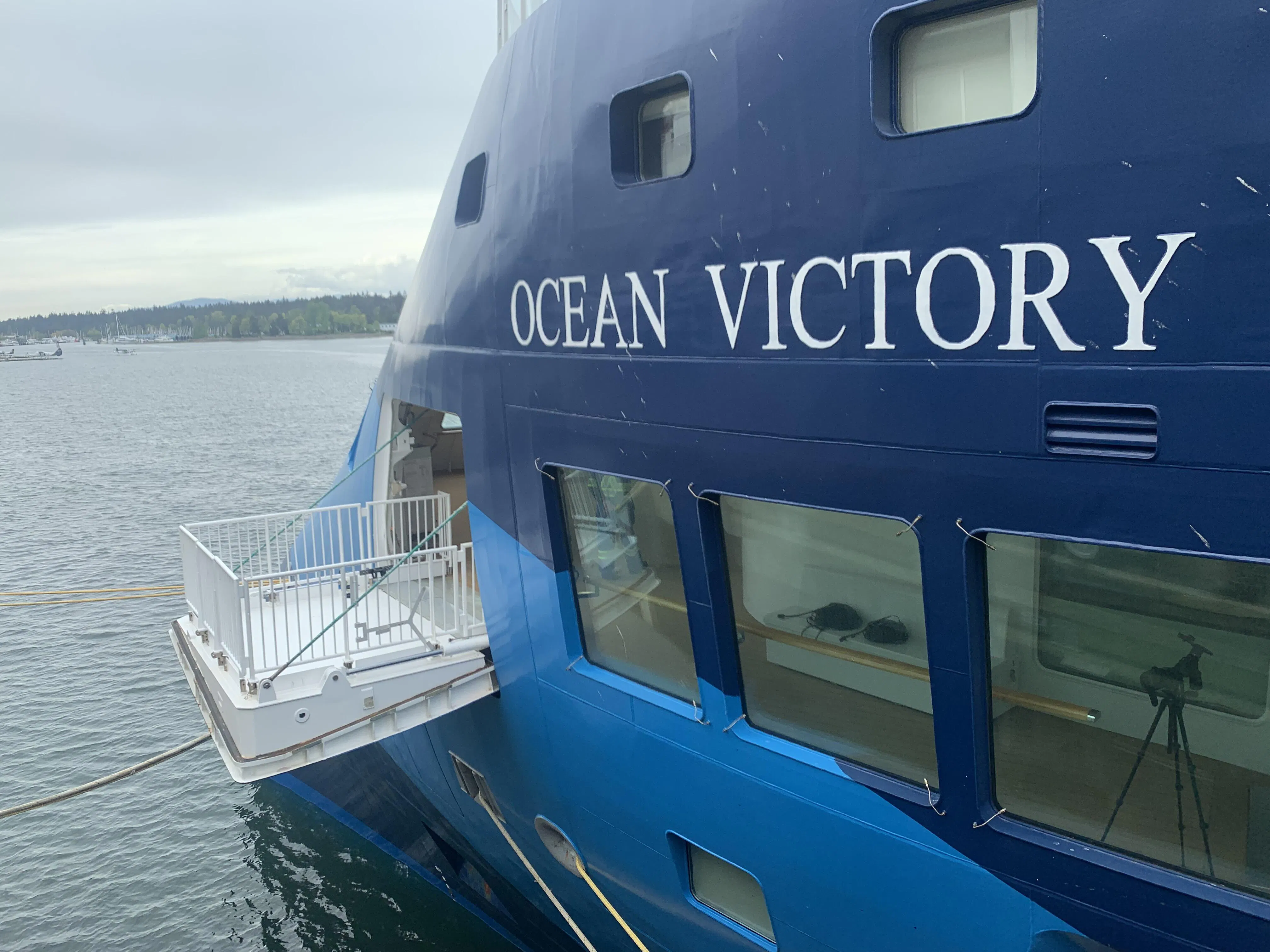 Expert Review of Albatros' Ocean Victory