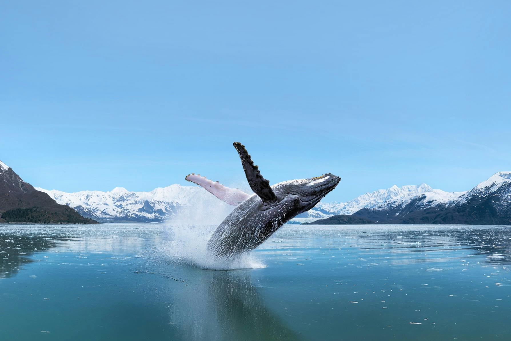 BEST Cruise Deals: Cheap & Discount Cruises (2026) - Cruise Critic