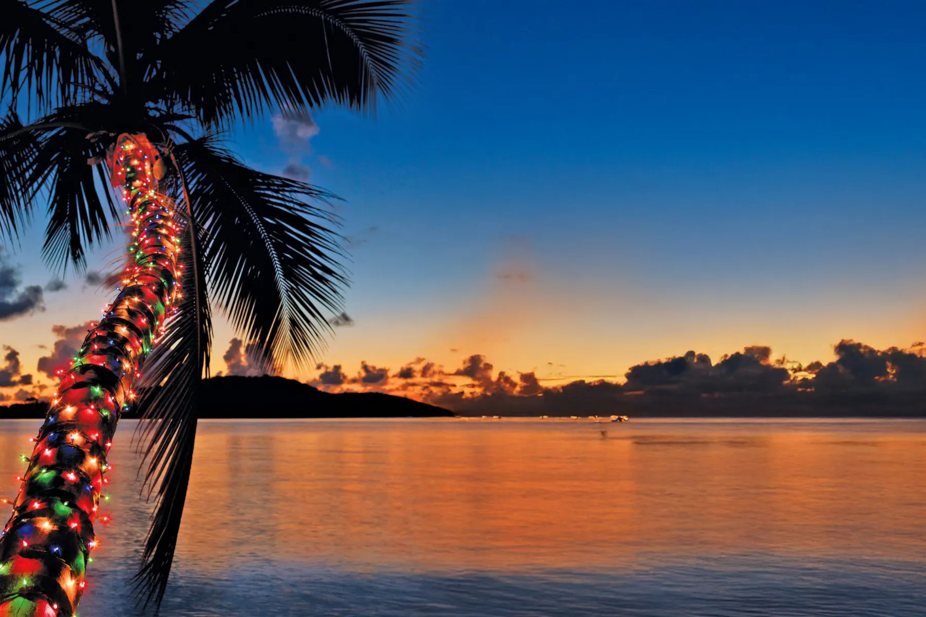 BEST Cruise Deals: Cheap & Discount Cruises (2025) - Cruise Critic