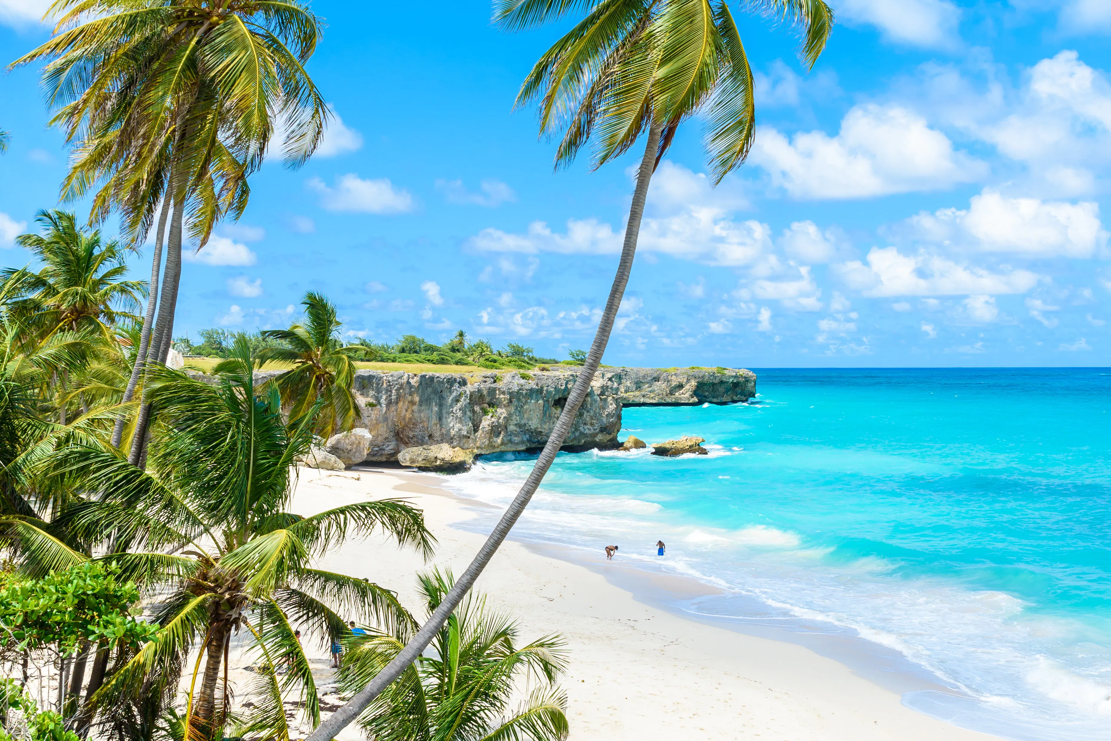 BEST Cruise Deals & Specials 2026 - Cruise Critic