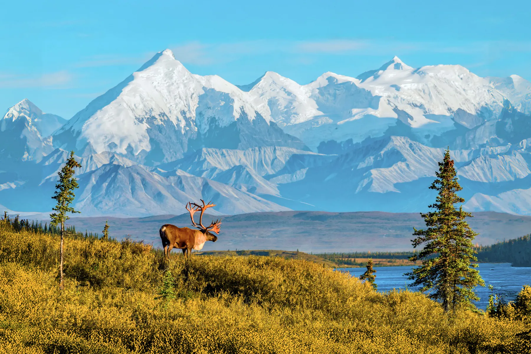 BEST Cheap Alaska Cruise Deals - Cruise Critic