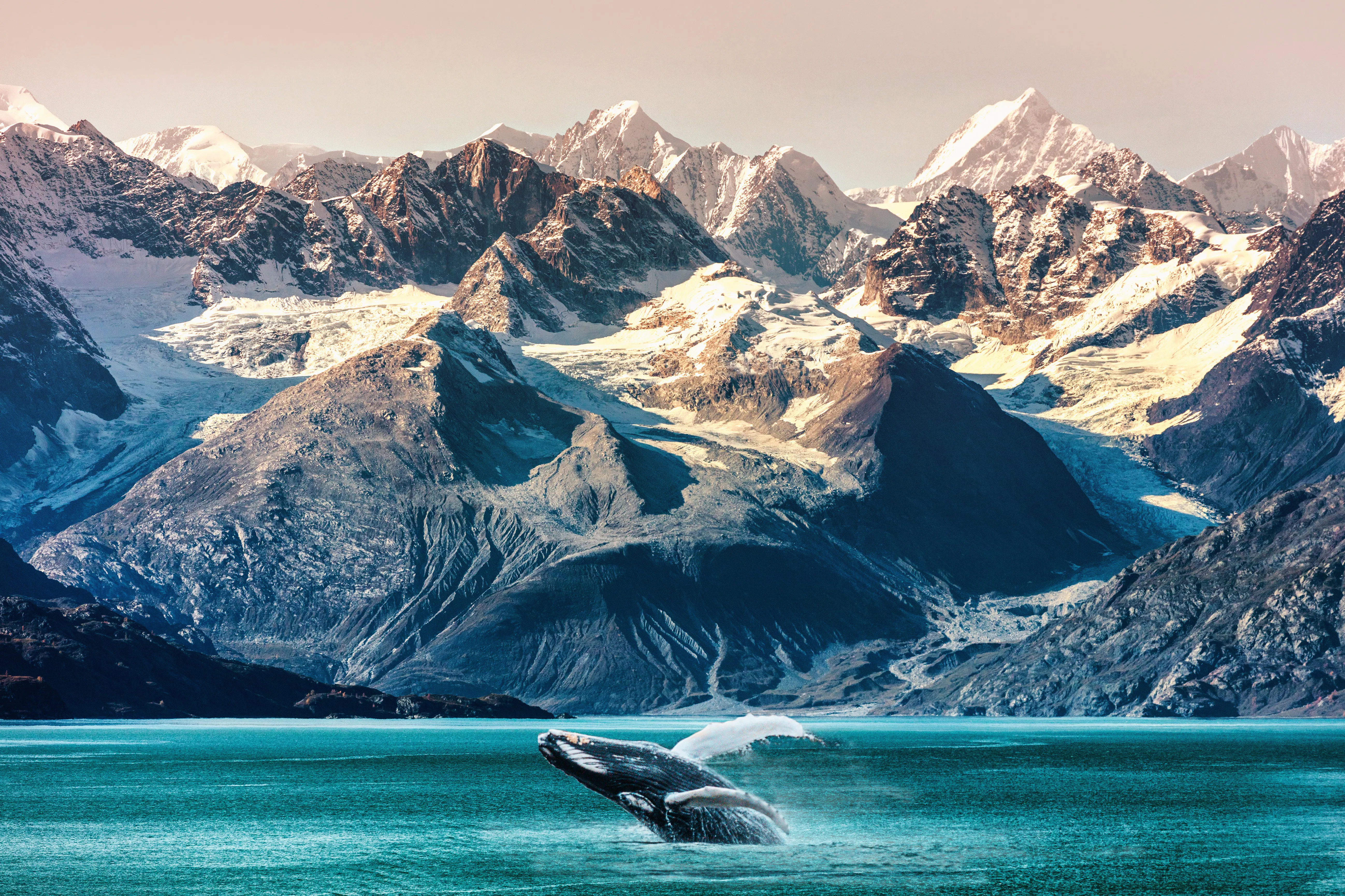 BEST Cruise Deals & Specials 2026 - Cruise Critic