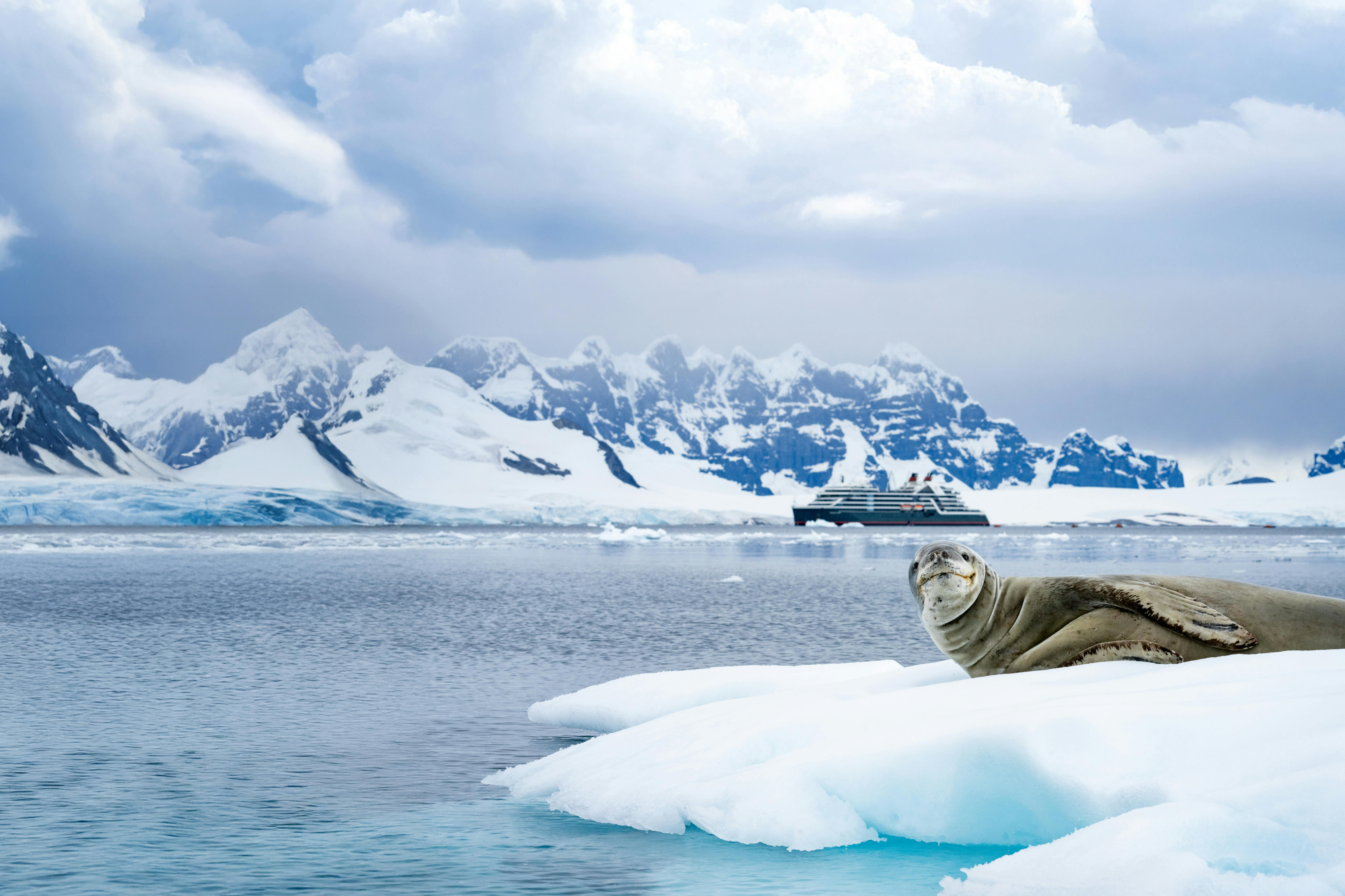 BEST Cruise Deals & Specials 2026 - Cruise Critic