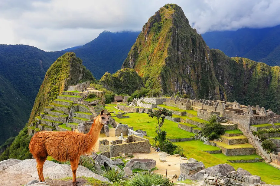 BEST Cruise Deals: Cheap & Discount Cruises (2026) - Cruise Critic