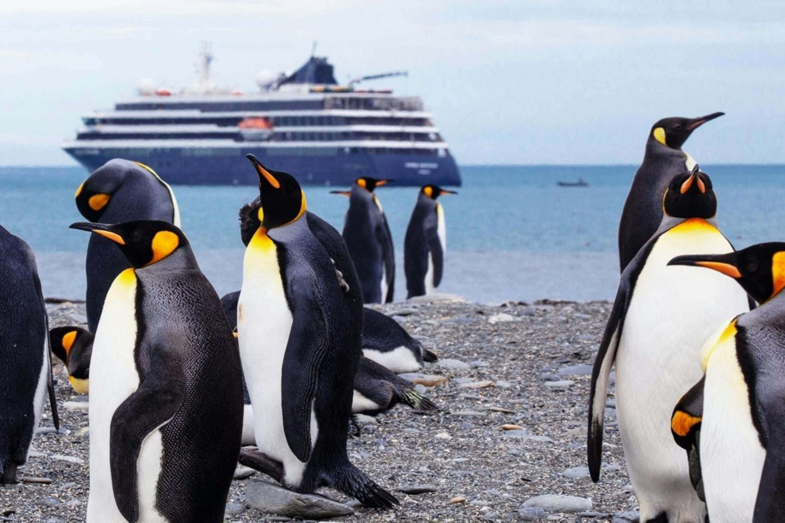 BEST Cruise Deals & Specials January, 2026 - Cruise Critic