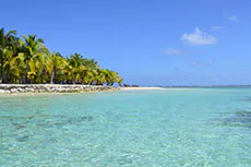 20 BEST Belize City Shore Excursions: Things to Do, Cruise Day Tour ...