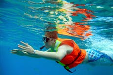 20 BEST Freeport Shore Excursions: Things to Do, Cruise Day Tour ...