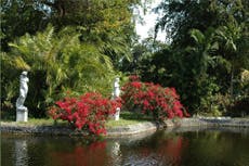 20 BEST Freeport Shore Excursions: Things to Do, Cruise Day Tour ...