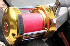 20 BEST Freeport Shore Excursions: Things to Do, Cruise Day Tour ...