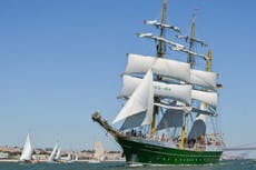 20 BEST Freeport Shore Excursions: Things to Do, Cruise Day Tour ...