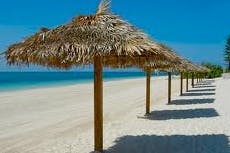 20 BEST Freeport Shore Excursions: Things to Do, Cruise Day Tour ...