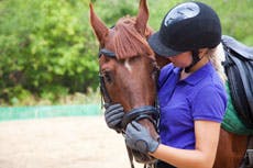 16 BEST St. Maarten Shore Excursions: Things to Do, Cruise Day Tour ...