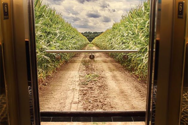 Pictures of P&O Australia's Pacific Aria and Pacific Eden