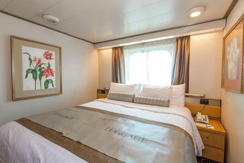 Ocean-View Cabin on Holland America Zuiderdam Cruise Ship - Cruise Critic