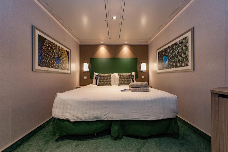 Inside Cabin on MSC Seaview Cruise Ship - Cruise Critic