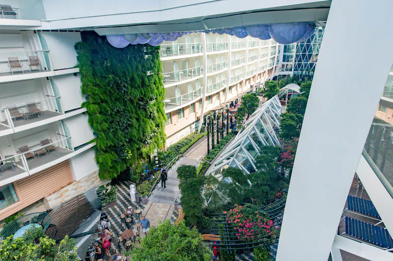 Central Park-View Balcony Cabin on Royal Caribbean Allure of the Seas